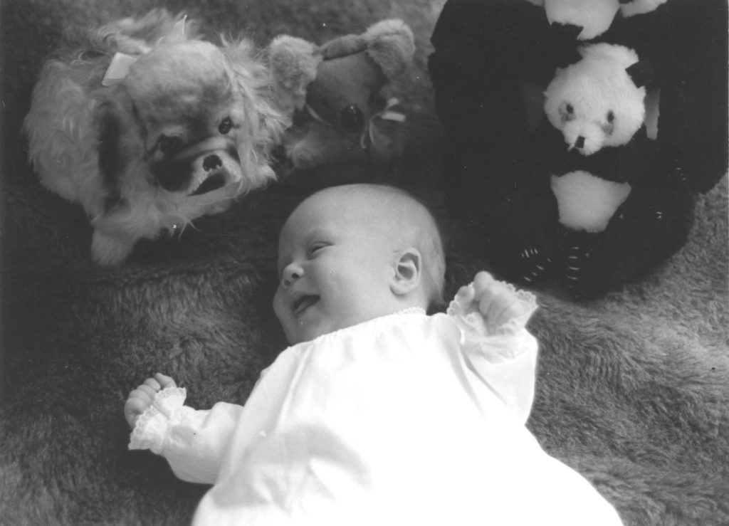 Who is King Willem-Alexander of the Netherlands? - Royal Central