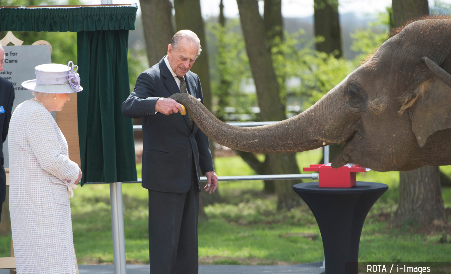 My favourite Prince Philip moment: Feeding the elephants bananas at ...