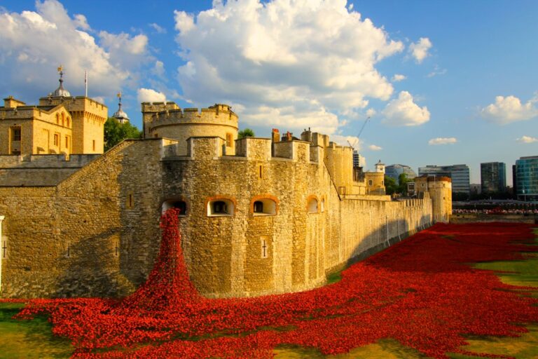 The Queen among the Poppies at the Tower, one of the most poignant ...