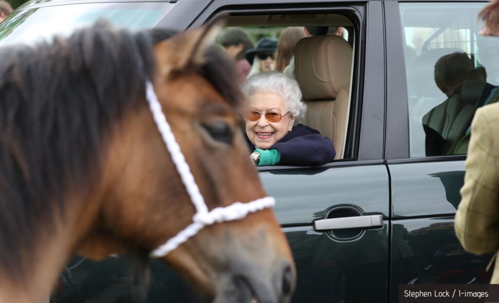 The King recruiting staff to look after his horses and foals at ...
