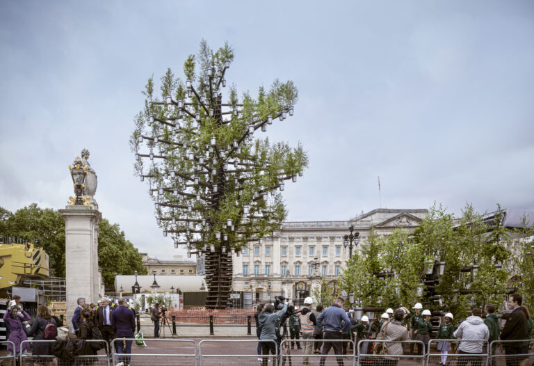 The 'Tree of Trees' outside Buckingham Palace will light up a special ...