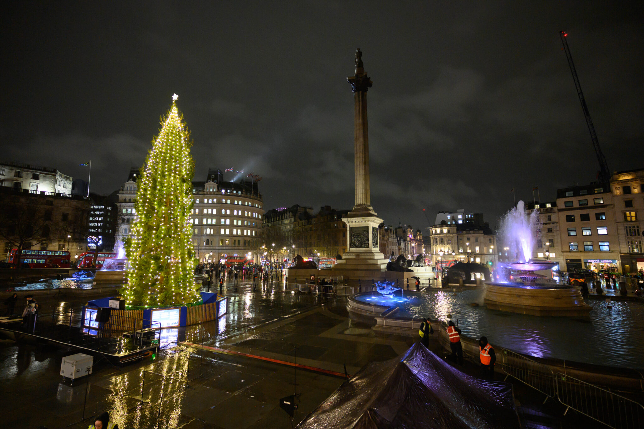 The lights are now sparkling on Trafalgar Square's Christmas tree with ...